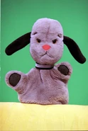 Sweep | Sooty Database Wiki | Fandom