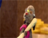 The Swimming Lesson | Sooty Database Wiki | Fandom