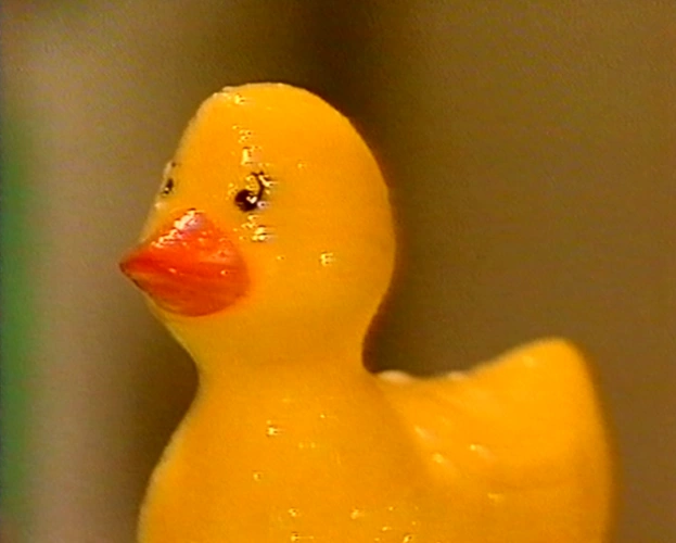 Derek the Duck | Sooty Database Wiki | Fandom