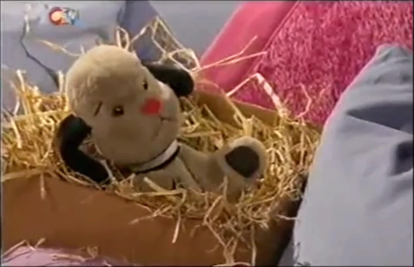 Sweep Asleep | Sooty Database Wiki | Fandom