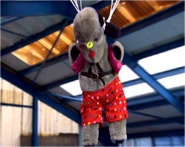 The Swimming Lesson | Sooty Database Wiki | Fandom