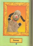 Sweep | Sooty Database Wiki | Fandom