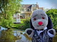 Sweep | Sooty Database Wiki | Fandom