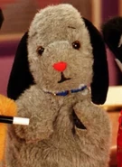 Sweep | Sooty Database Wiki | Fandom