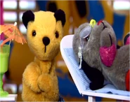 The Swimming Lesson | Sooty Database Wiki | Fandom