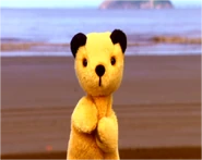 The Swimming Lesson | Sooty Database Wiki | Fandom