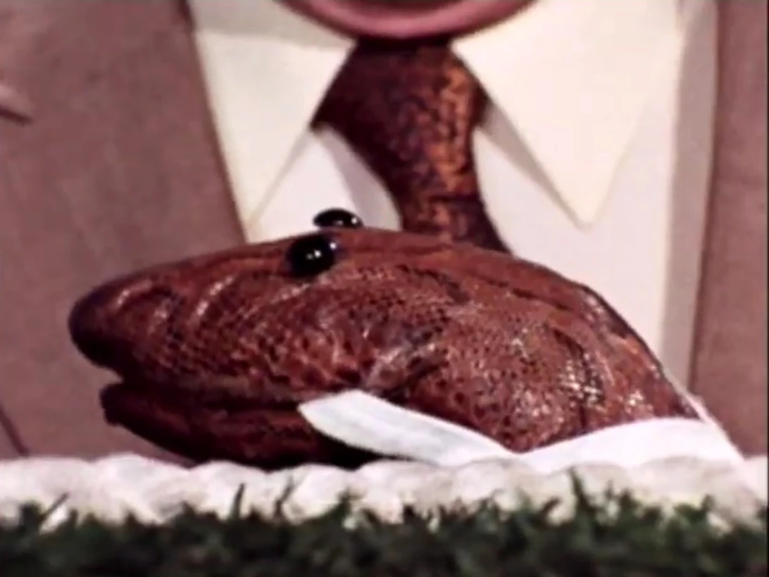 Ramsbottom | Sooty Database Wiki | Fandom