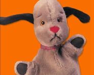 Sweep | Sooty Database Wiki | Fandom