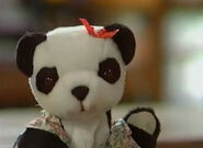 Soo | Sooty Database Wiki | Fandom