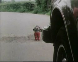 Accidents | Sooty Database Wiki | Fandom