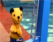 The Swimming Lesson | Sooty Database Wiki | Fandom