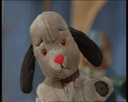 Sweep | Sooty Database Wiki | Fandom