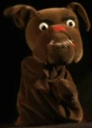 Butch | Sooty Database Wiki | Fandom