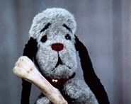 Sweep | Sooty Database Wiki | Fandom