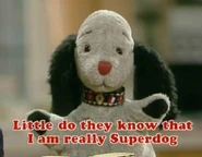 Sweep | Sooty Database Wiki | Fandom