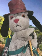 Sweep | Sooty Database Wiki | Fandom