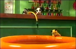 Sooty at the Seaside | Sooty Database Wiki | Fandom