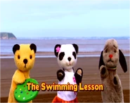 The Swimming Lesson | Sooty Database Wiki | Fandom