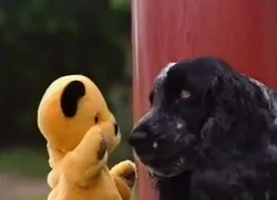 Dog Trouble | Sooty Database Wiki | Fandom