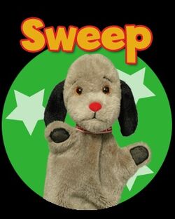 What Type Of Dog Is Sweep