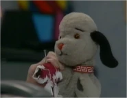 Sweep | Sooty Database Wiki | Fandom