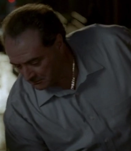 Doc Santoro's Bodyguard | The Sopranos Wiki | Fandom