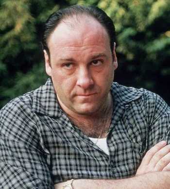 Tony Soprano | The Sopranos Wiki | Fandom