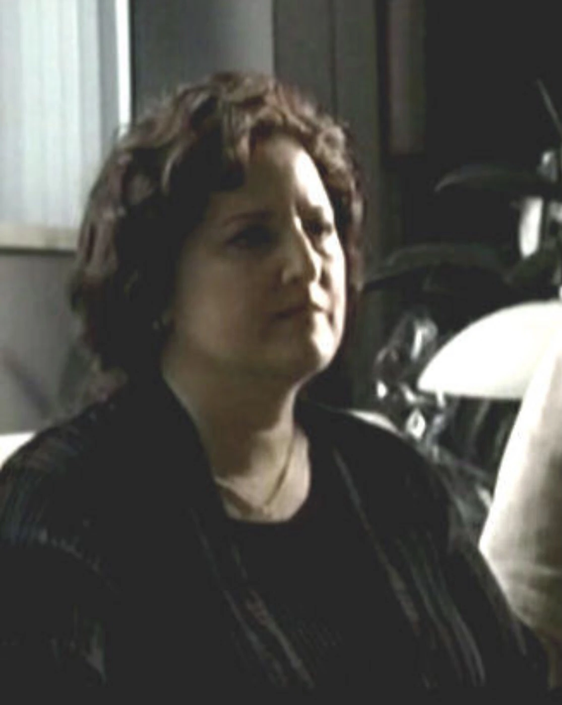 Beth Kaplan | The Sopranos Wiki | Fandom