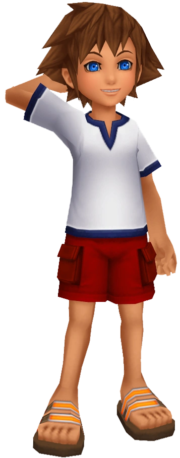 Sora | Sora Lucis Caelum Wiki | Fandom