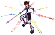 Sora | Sora Lucis Caelum Wiki | Fandom