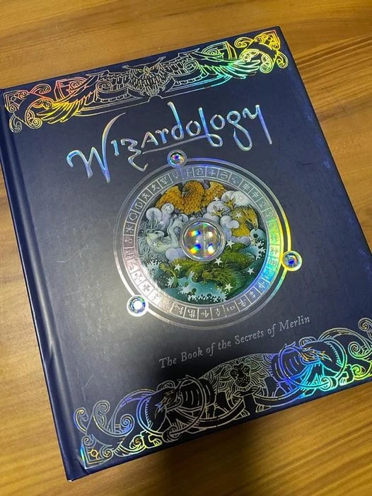 Wizardology | Sorcerer World Wiki | Fandom
