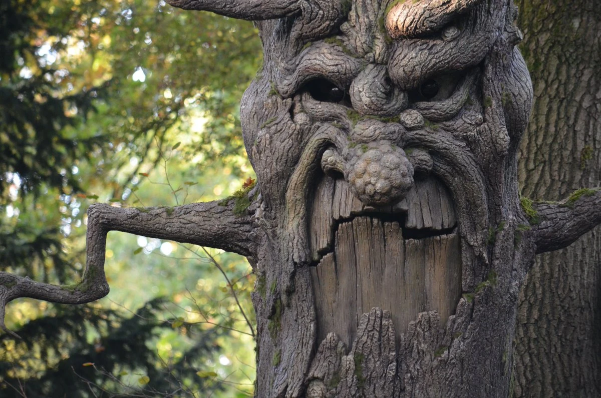 Enchanted Tree | Sorcerer World Wiki | Fandom