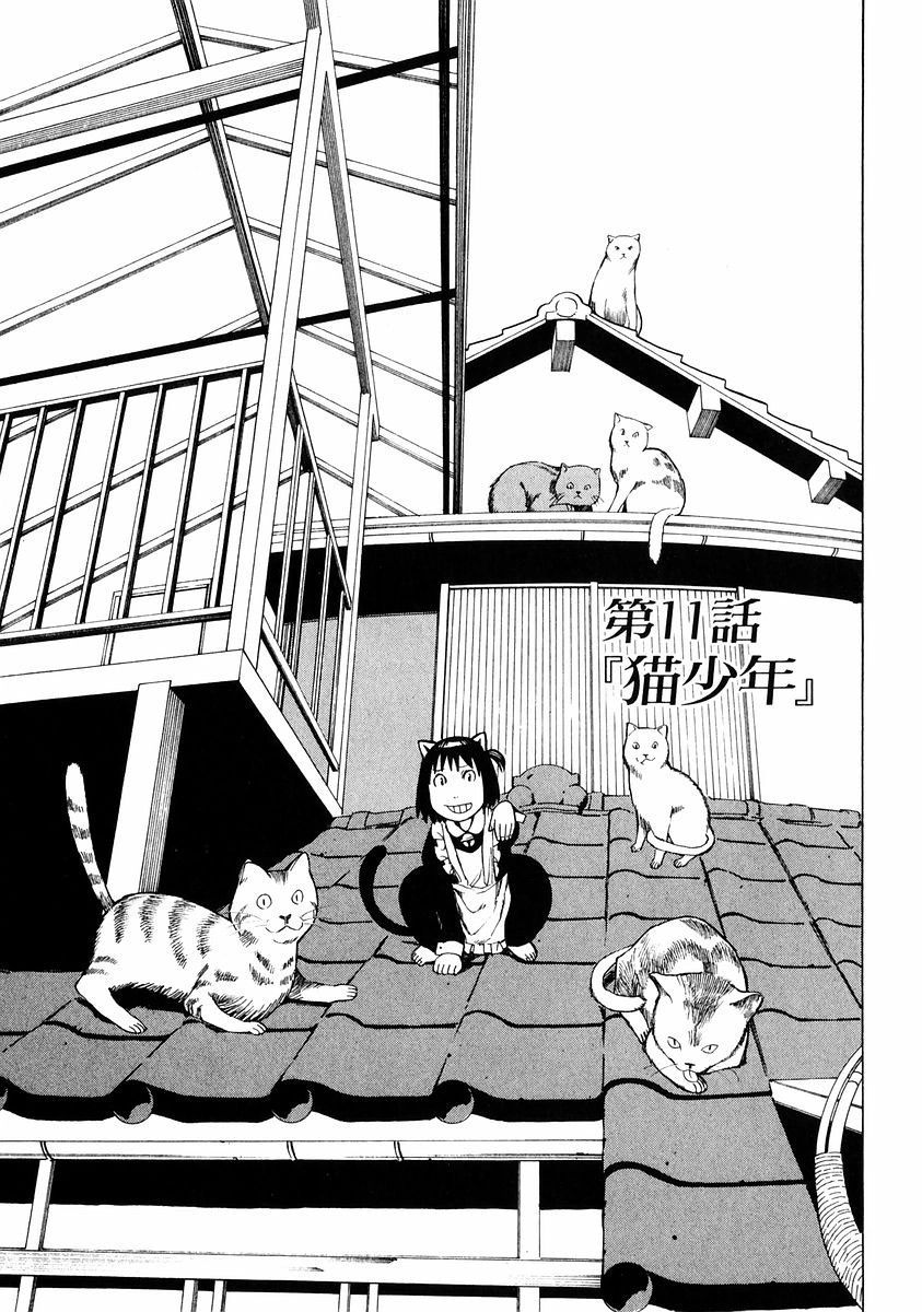 Cat Boy | SoreMachi Wiki | Fandom