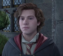 Garreth Weasley | Hogwarts Legacy Wiki | Fandom