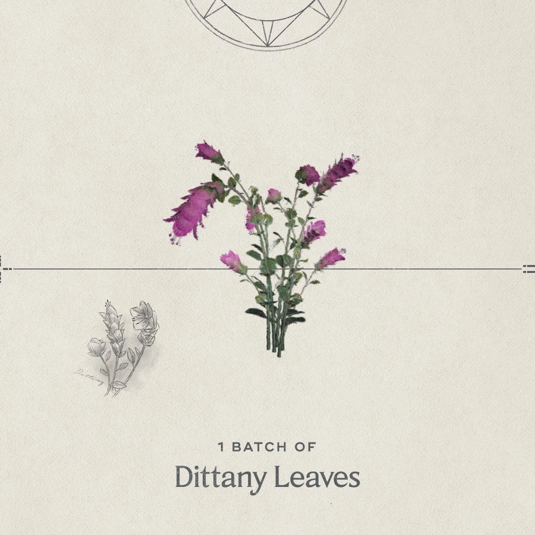 Dittany Leaves | Hogwarts Legacy Wiki | Fandom