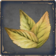 Mallowsweet | Hogwarts Legacy Wiki | Fandom