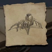 Acromantula | Hogwarts Legacy Wiki | Fandom