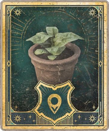 Herbology Class | Hogwarts Legacy Wiki | Fandom