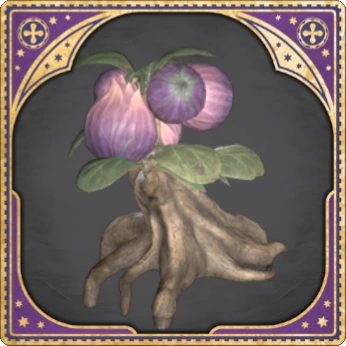 Shrivelfig | Hogwarts Legacy Wiki | Fandom