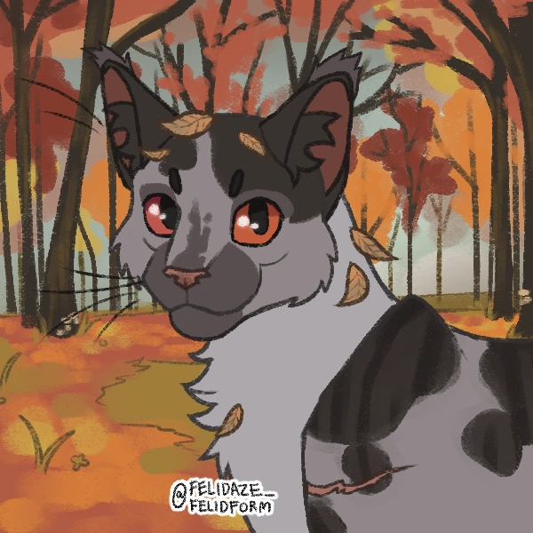 Värehämy | Soturikissat fani Wiki | Fandom