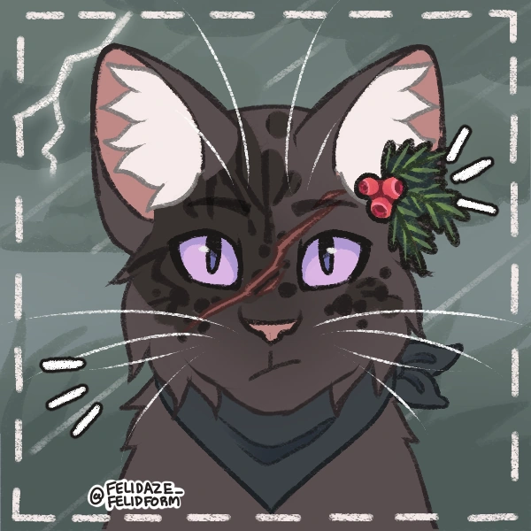 Hämy | Soturikissat fani Wiki | Fandom