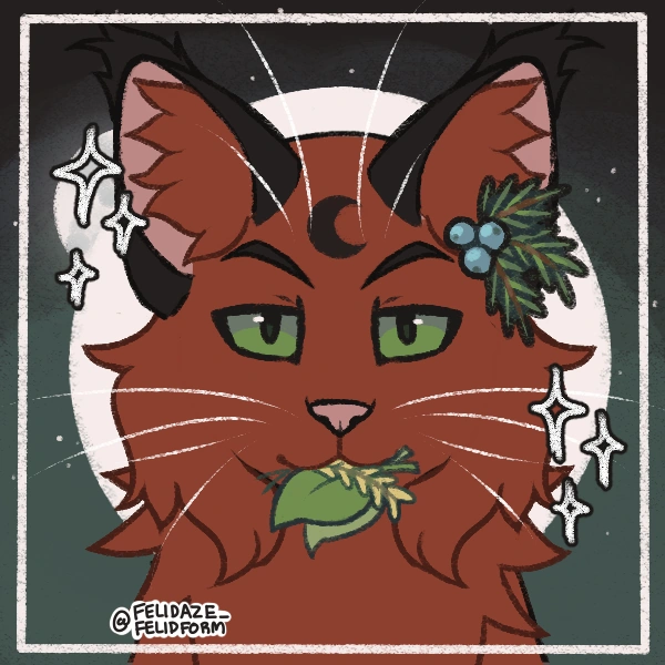 Kuusenhavu | Soturikissat fani Wiki | Fandom