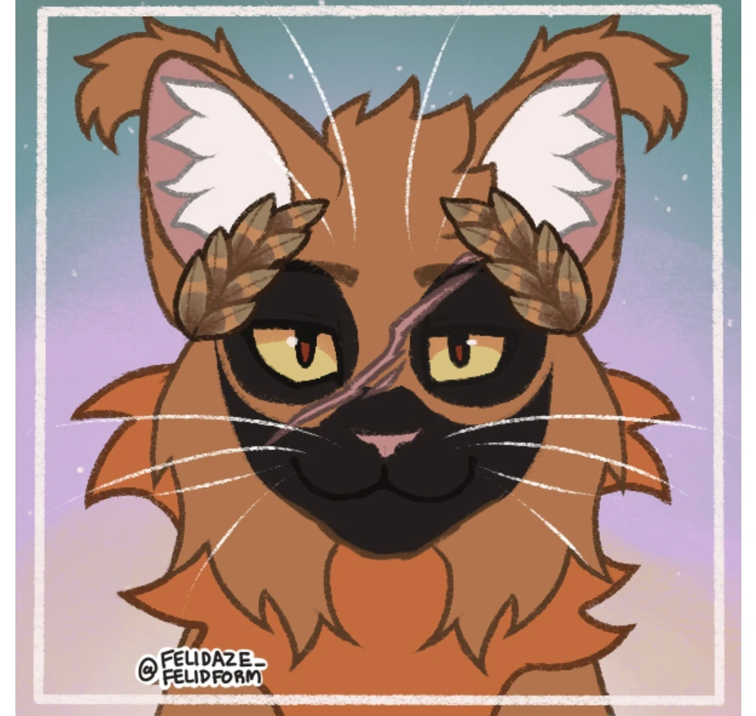 Kuori joka avautuu | Soturikissat fani Wiki | Fandom