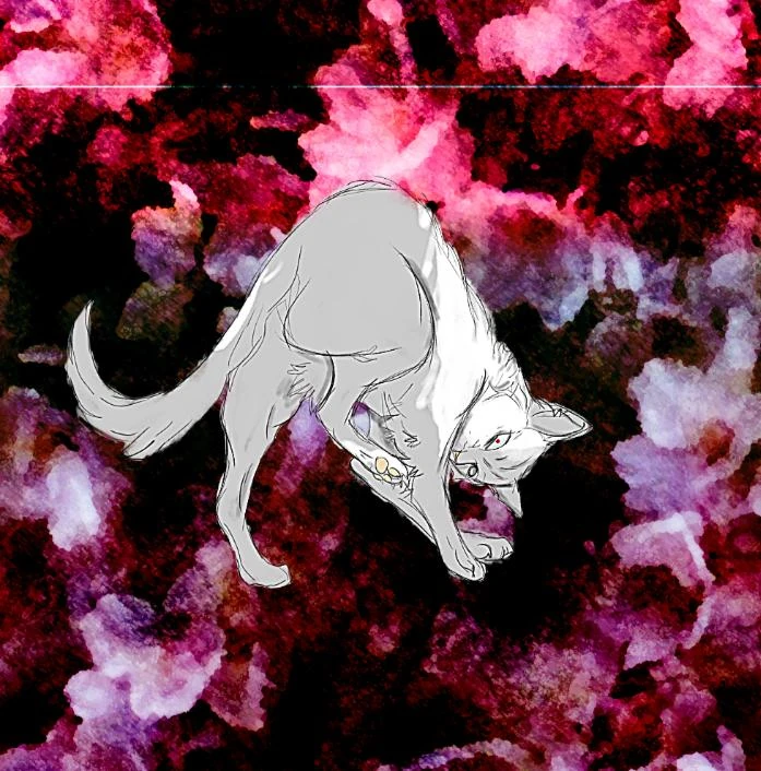 Rauta | Soturikissat fani Wiki | Fandom