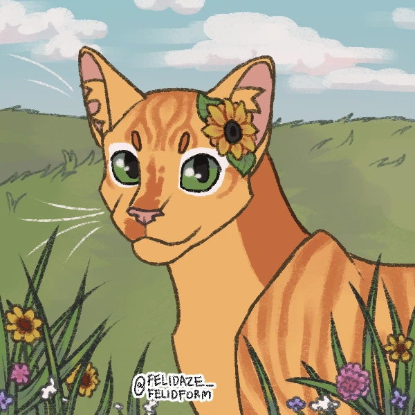 Hunajankukka | Soturikissat fani Wiki | Fandom