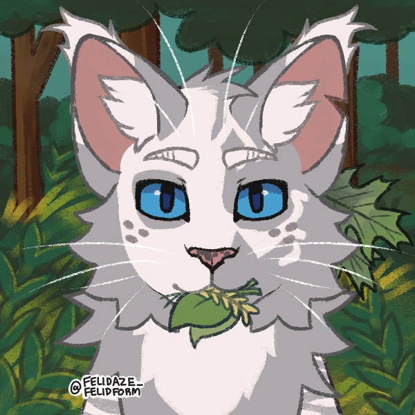 Taivaskukka | Soturikissat fani Wiki | Fandom