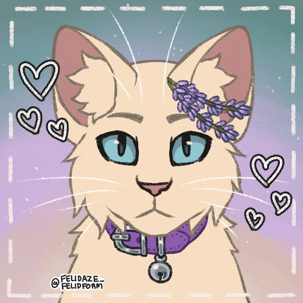 Pisara | Soturikissat fani Wiki | Fandom