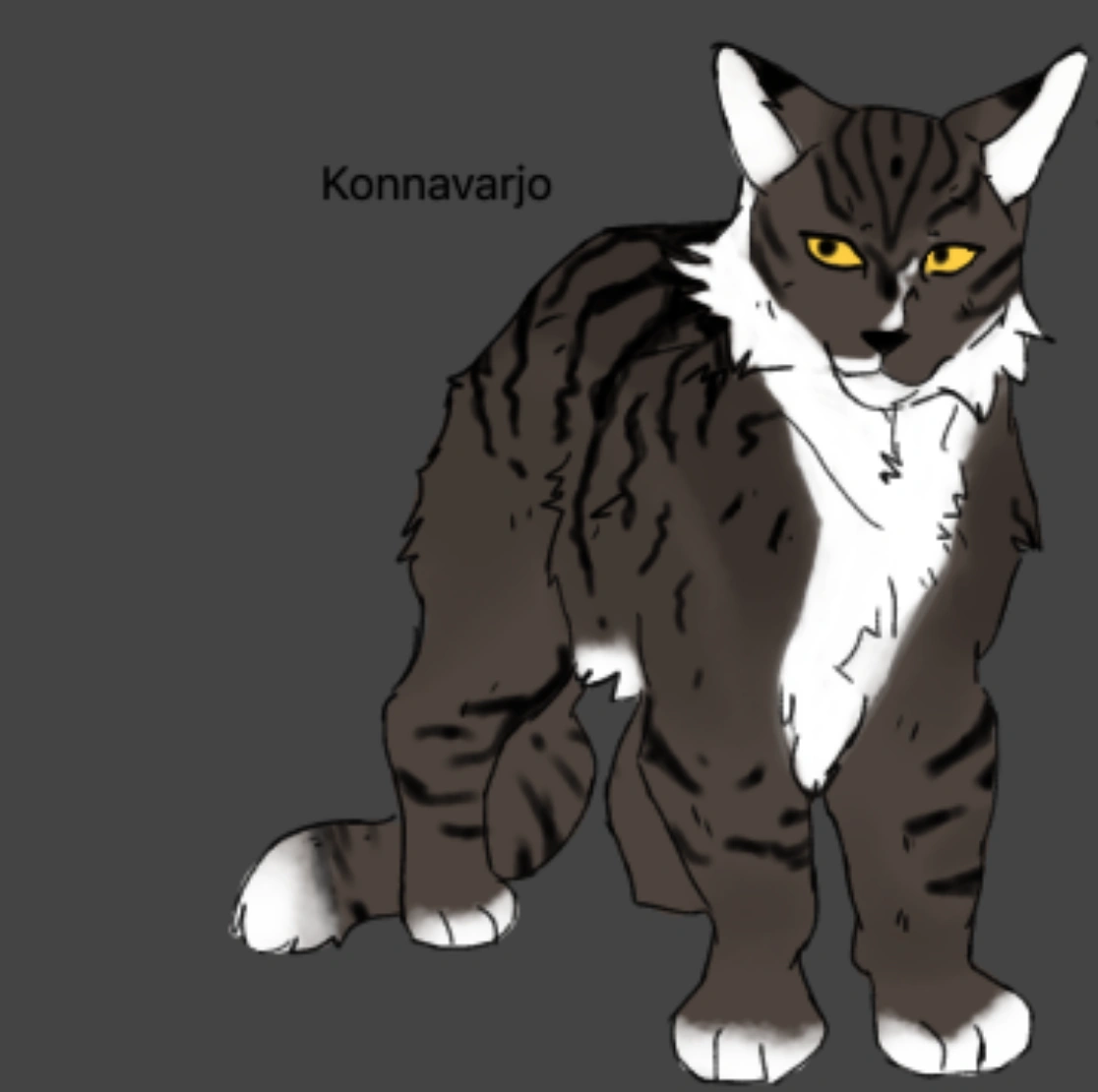 Konnavarjo (RP) | Soturikissat fani Wiki | Fandom
