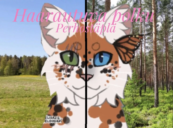 Haarautuva polku | Soturikissat fani Wiki | Fandom