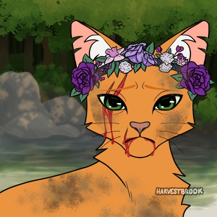 Kettukaiku (RP) | Soturikissat fani Wiki | Fandom